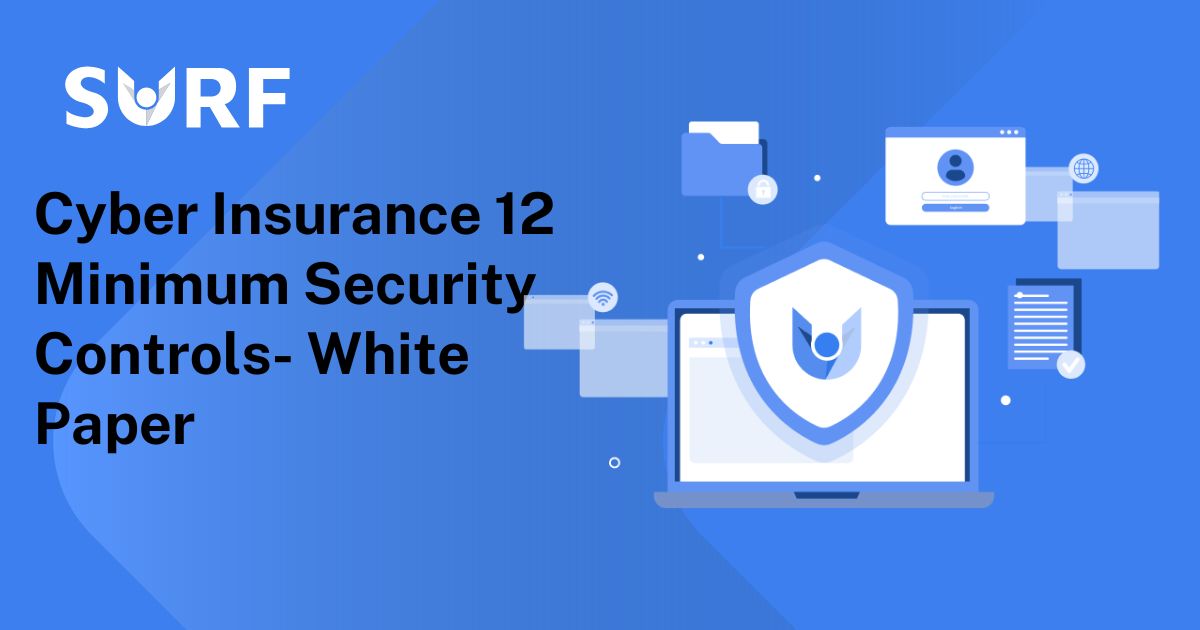 Cyber Insurance 12 Minimum Security Controls- White Paper
